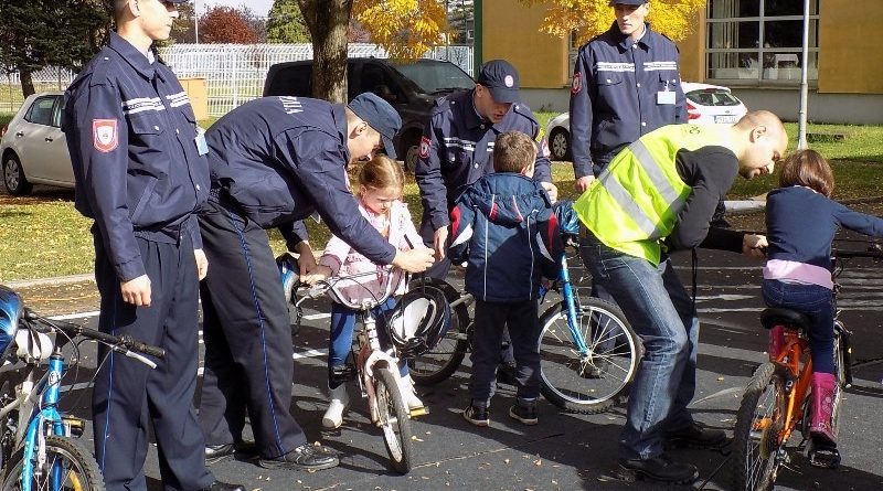 RAD POLICIJE U ZAJEDNICI I POLICIJSKO-OBAVJEŠTAJNI MODEL – stanje i ...